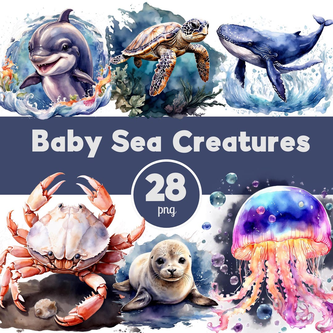 Baby Sea Creatures, Cute Ocean Animals, Ocean Animals PNG, Under the ...