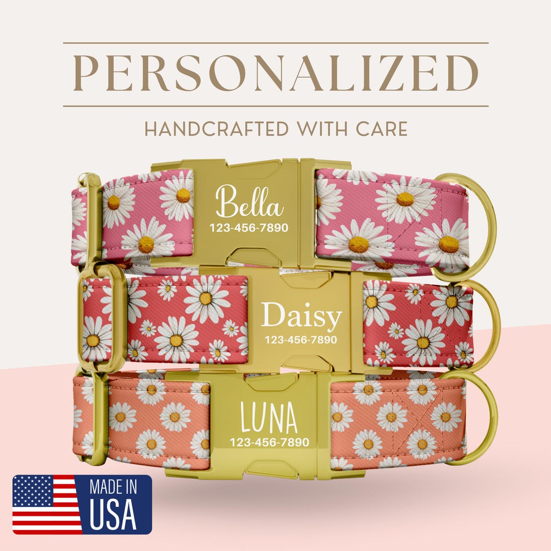 Personalized Daisy Dog Collar, Floral Spring Pet Collar, Handmade ...