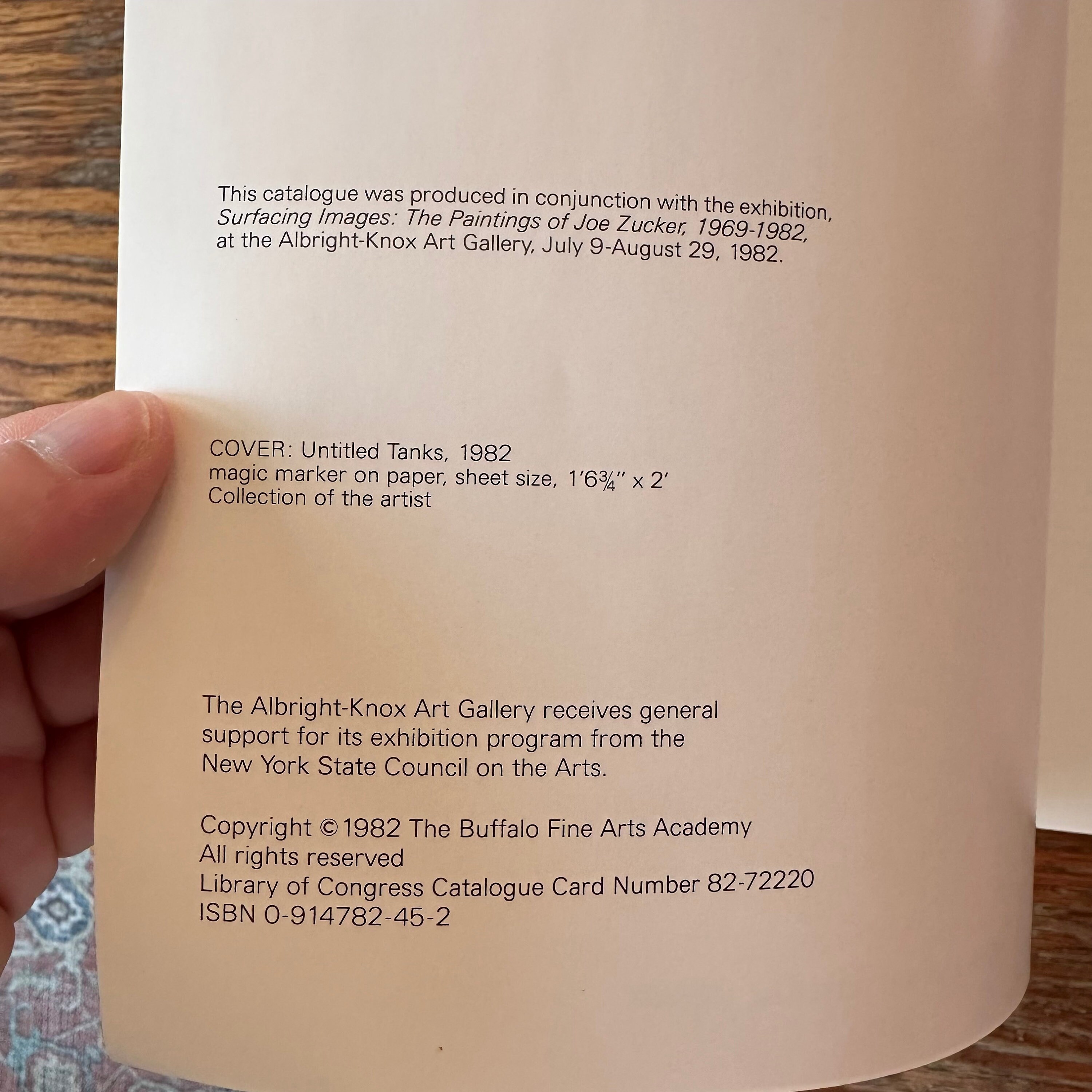 Surfacing Images the Paintings of Joe Zucker by Susan Krane 1982 Art ...