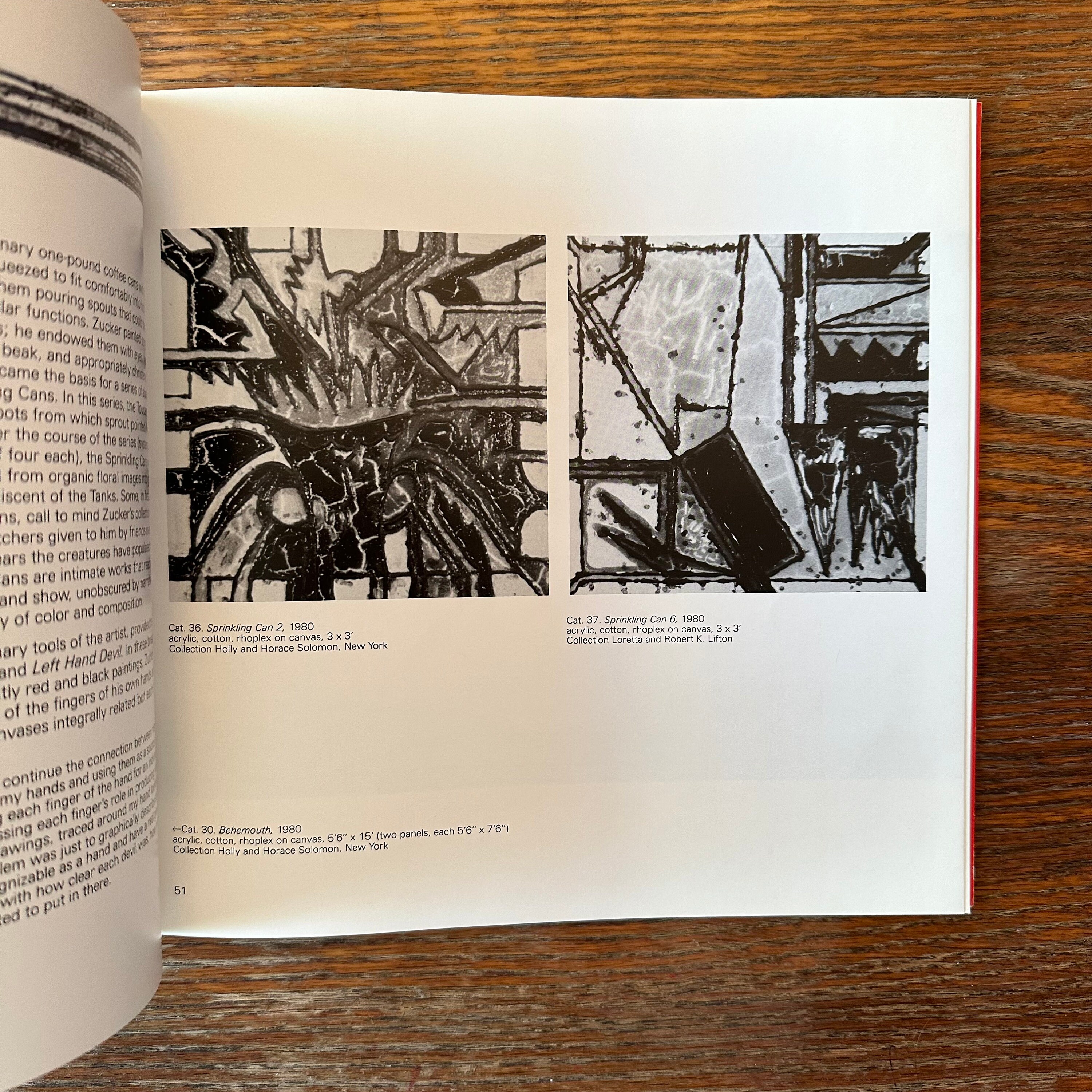 Surfacing Images the Paintings of Joe Zucker by Susan Krane 1982 Art ...