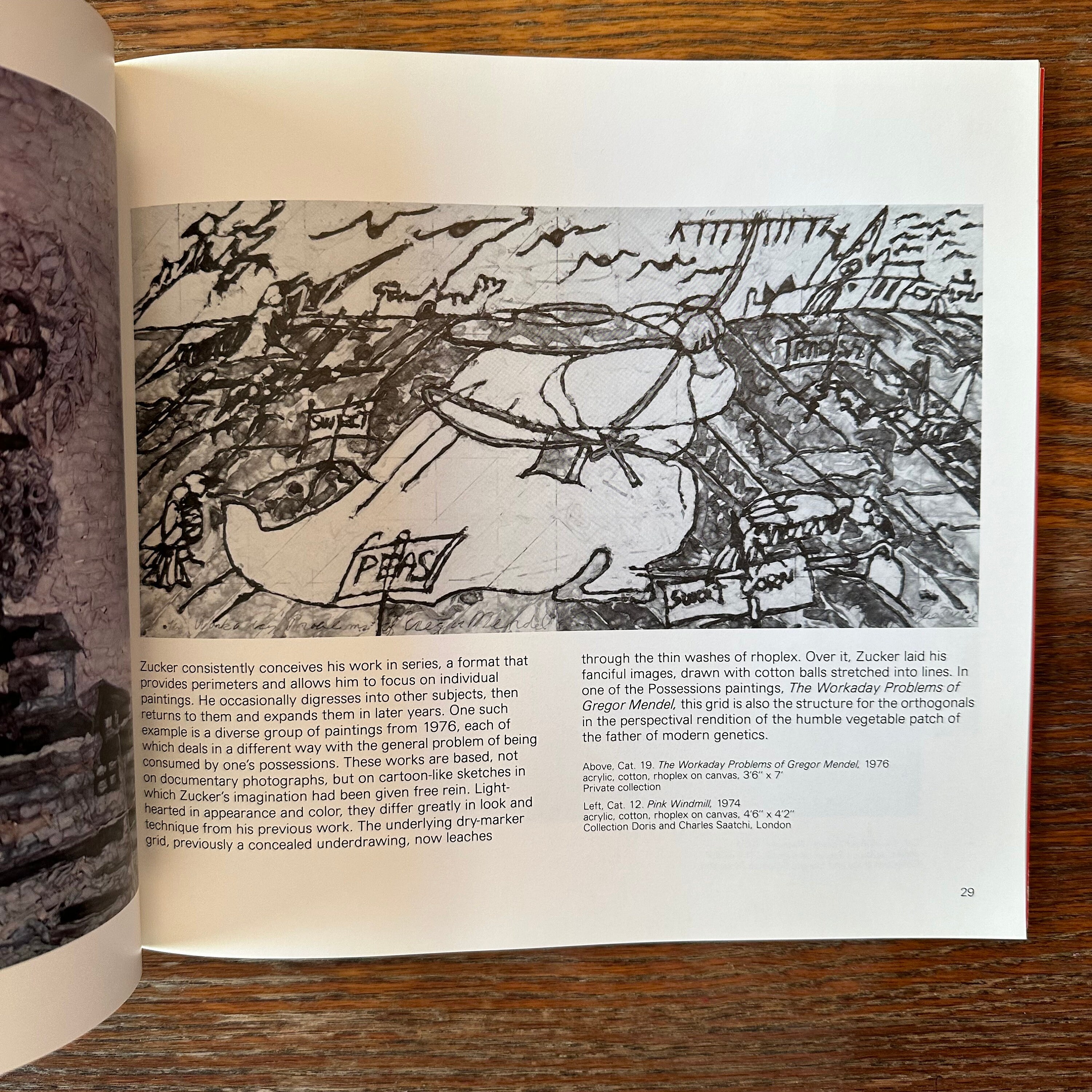 Surfacing Images the Paintings of Joe Zucker by Susan Krane 1982 Art ...