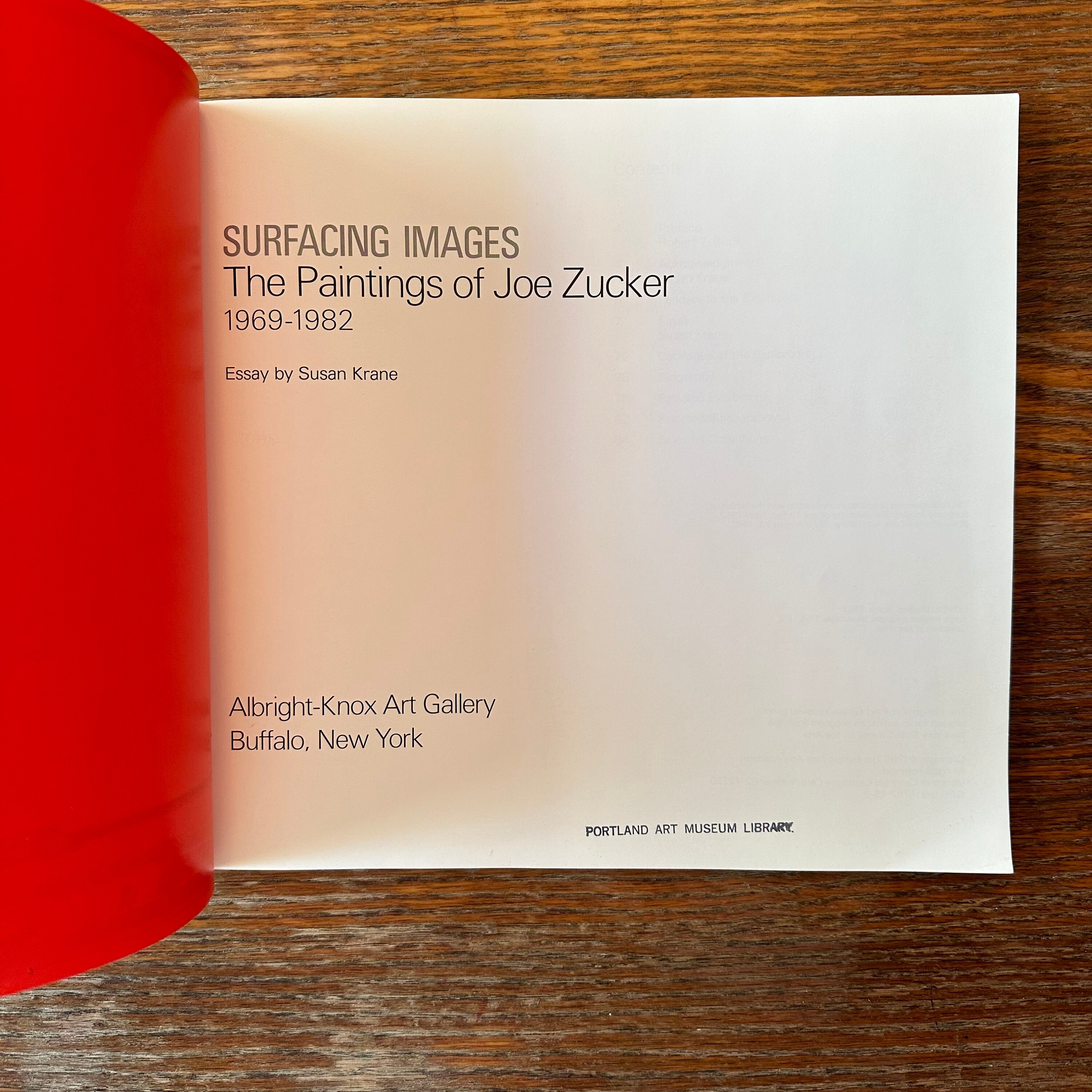 Surfacing Images the Paintings of Joe Zucker by Susan Krane 1982 Art ...