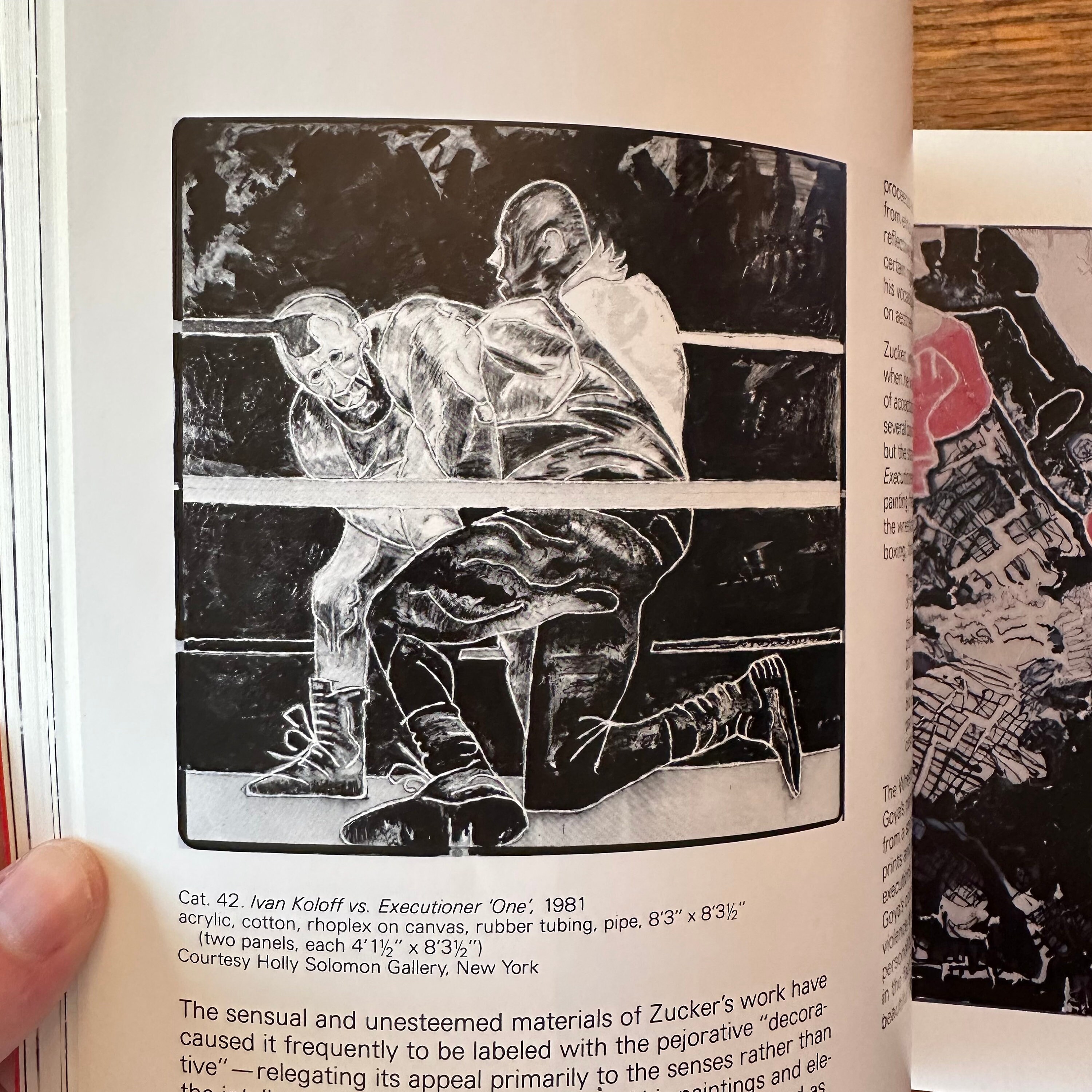 Surfacing Images the Paintings of Joe Zucker by Susan Krane 1982 Art ...