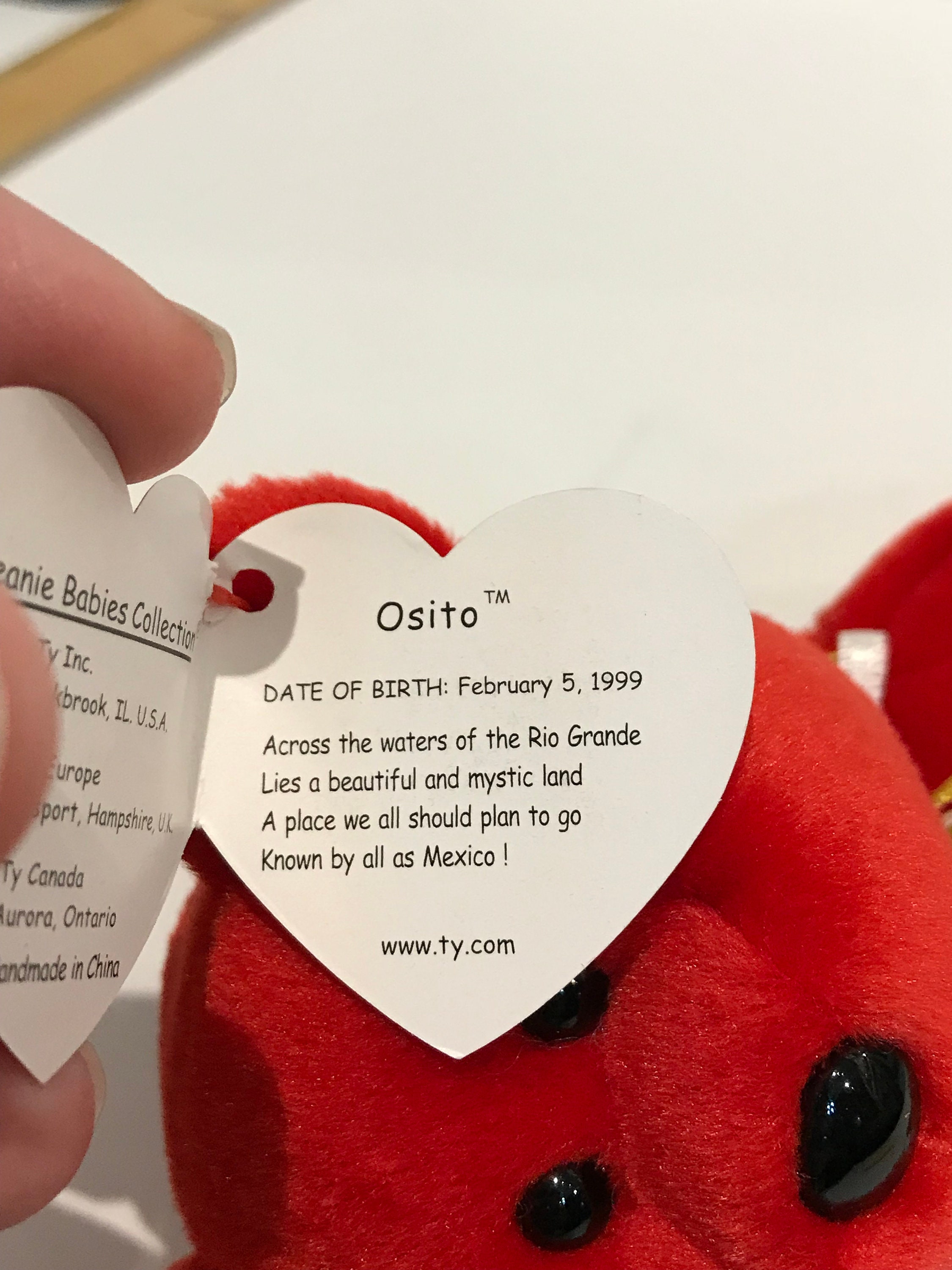 TY Beanie Baby osito - Etsy