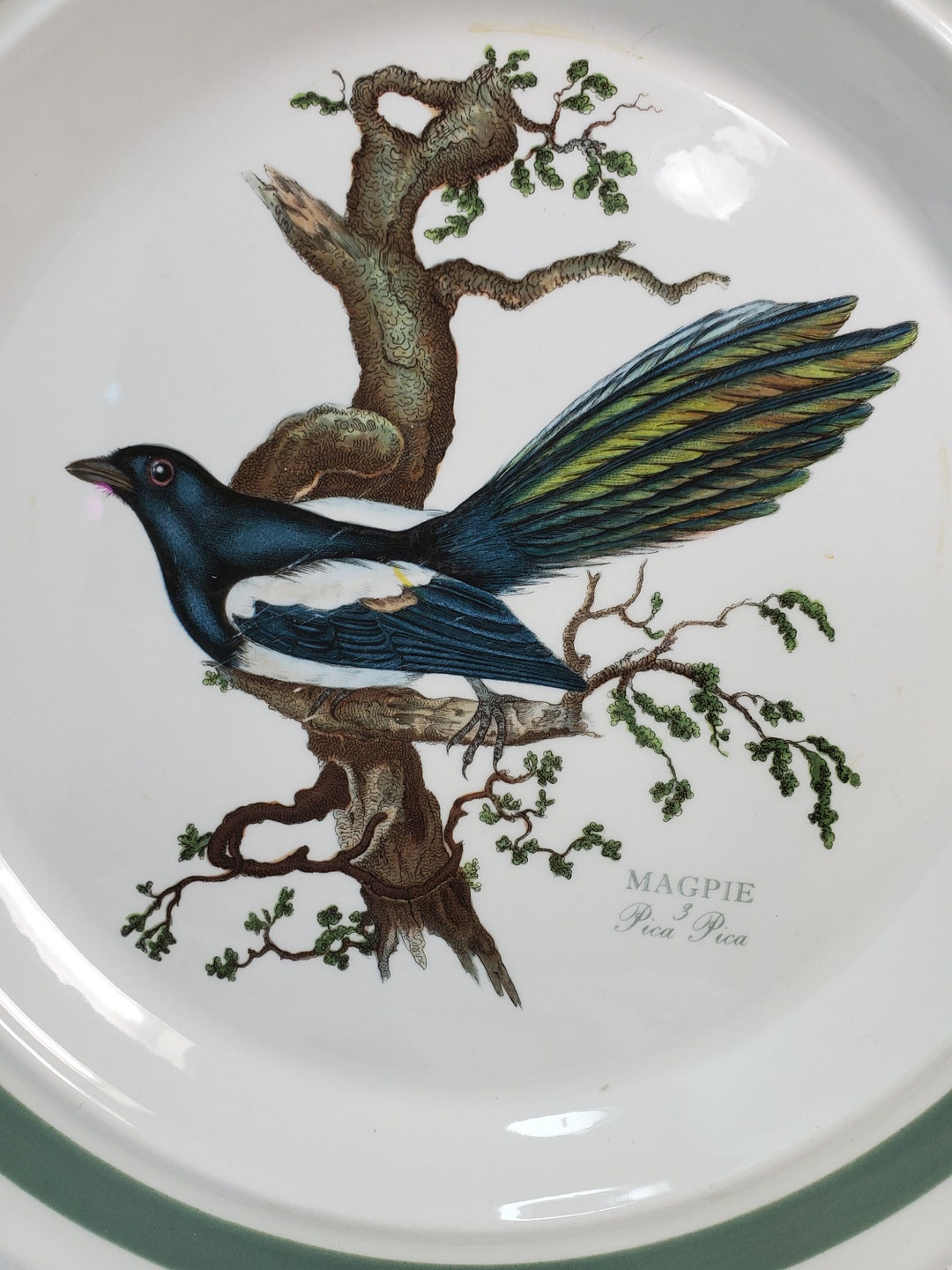 Portmeirion Birds of Britain Magpie Dinner Plate, England - Etsy