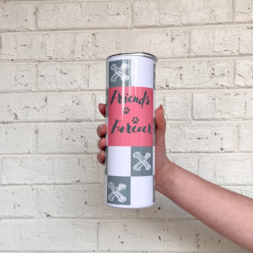 Disney Descendants 20 Oz Tumbler Cup | Disney Tumbler With Straw | Jay ...