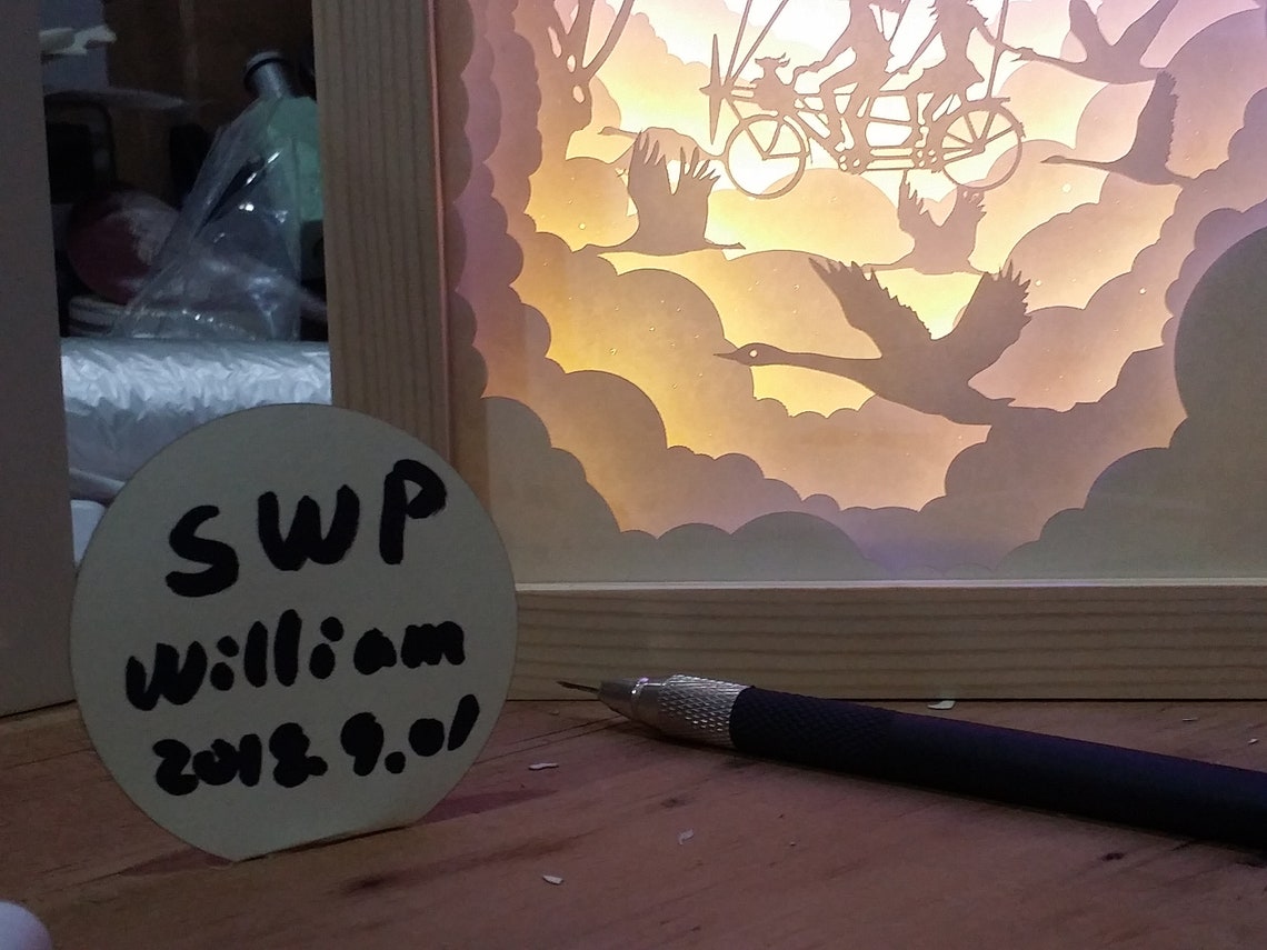 Paper cut light boxes/night light/gift | Etsy