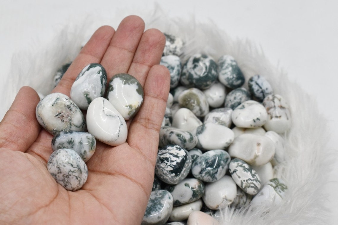 Tree Agate Tumbled Stones A Grade Healing Crystals Gemstone | Etsy