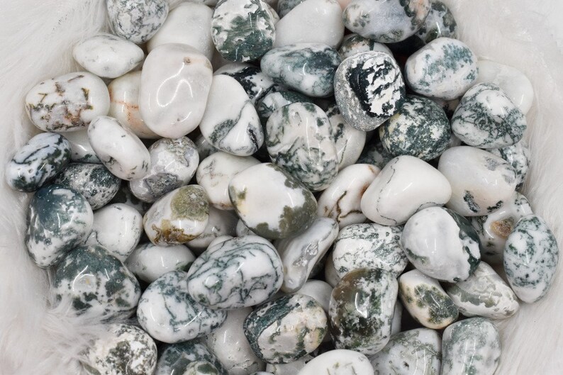 Tree Agate Tumbled Stones A Grade Healing Crystals Gemstone | Etsy