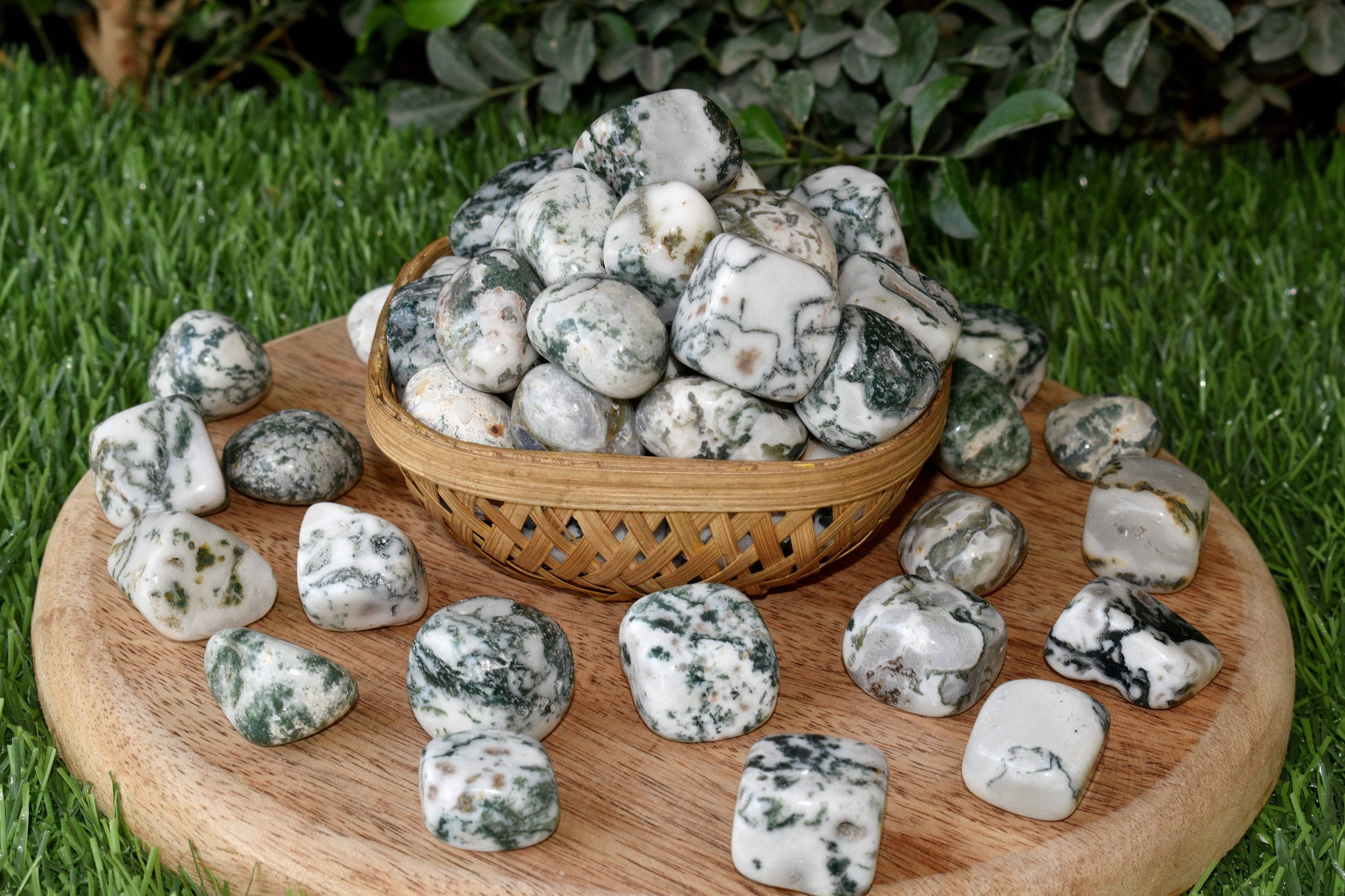 Wholesale Lot 500g Tree Agate Tumbled Stones A Grade Healing Crystals ...