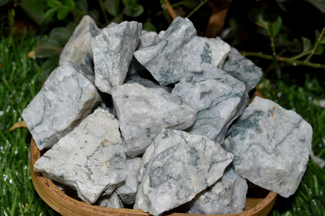 Raw Tree Agate 1 Inch Rough Stones ~ Natural Tree Agate Rough Rocks ...
