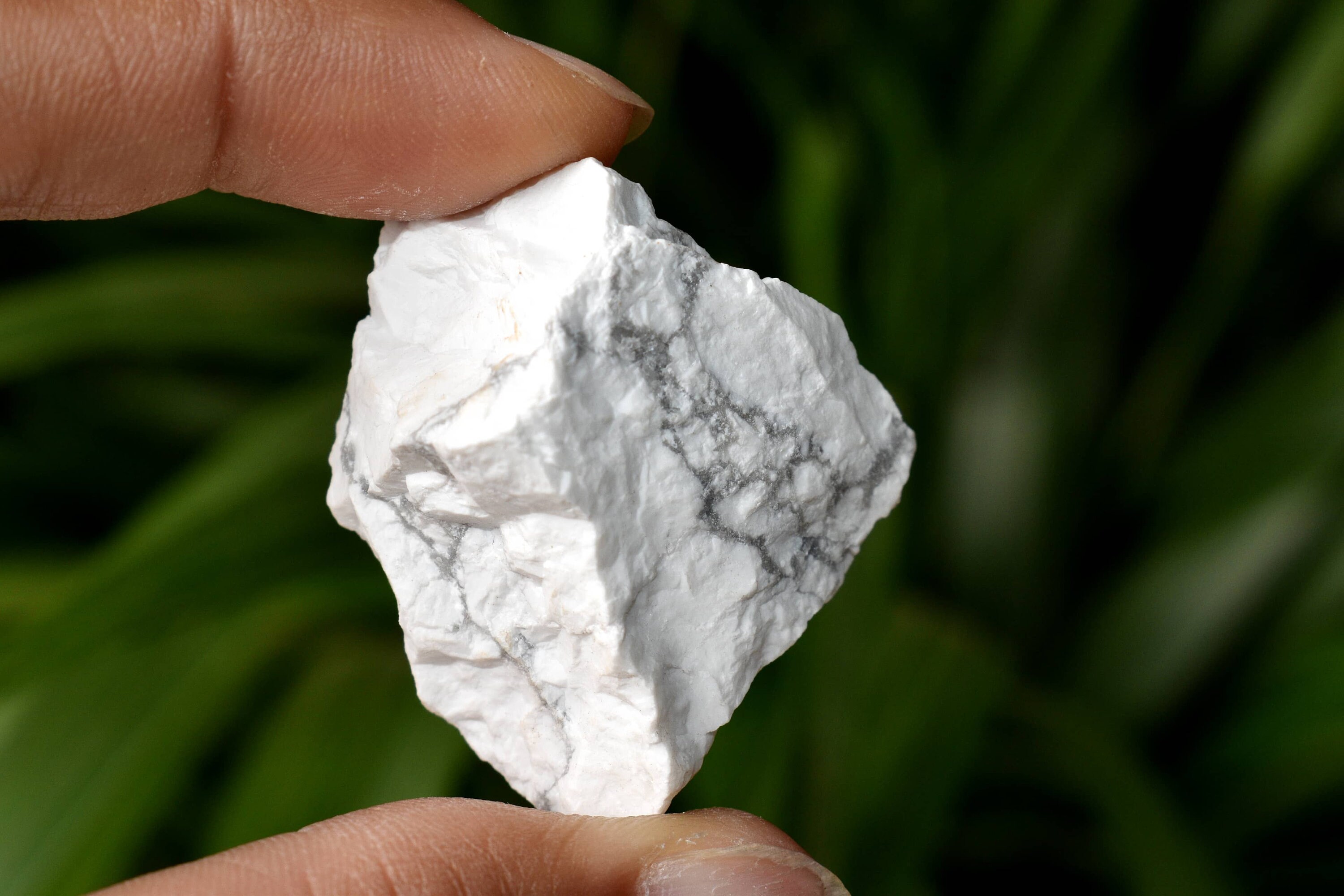 Howlite Rough Natural Stones 1 Inch Howlite Raw Stones Natural - Etsy