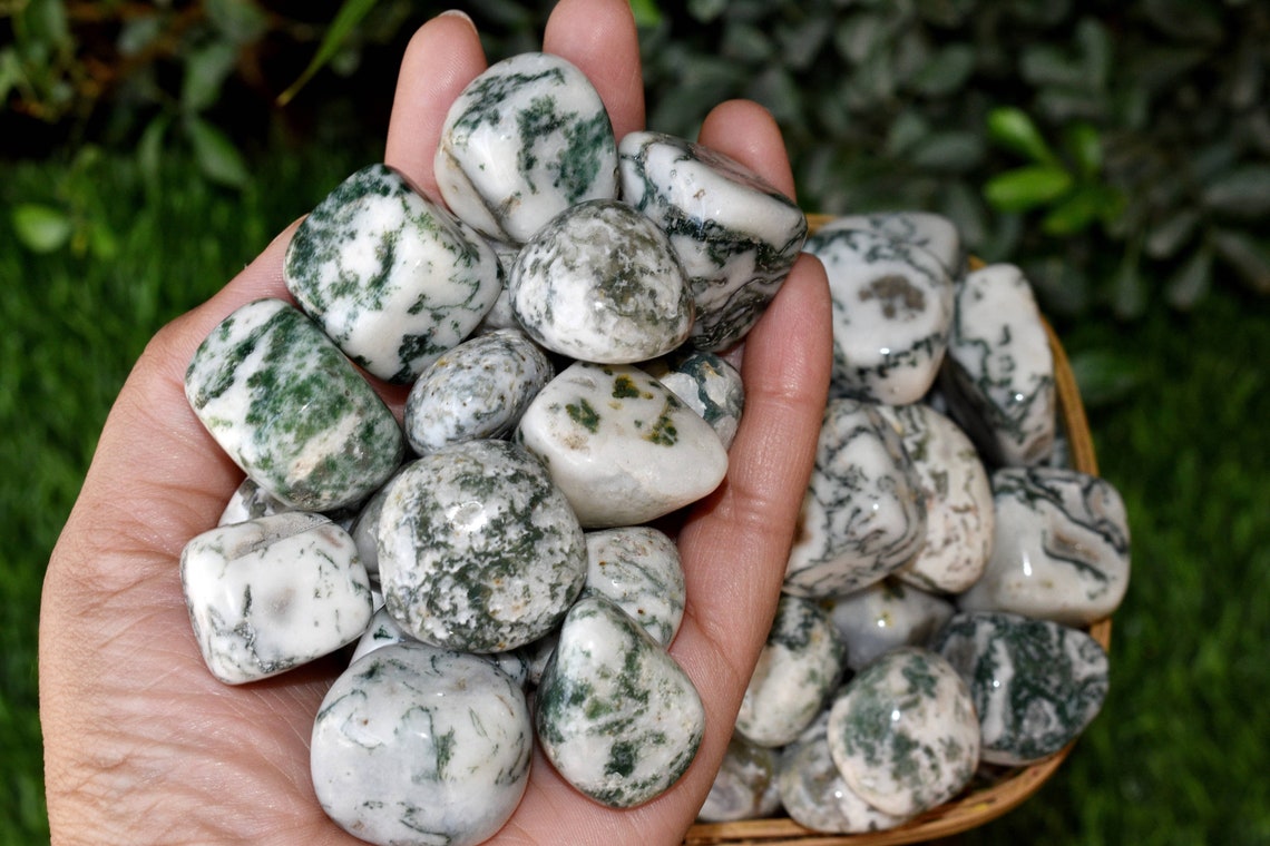 Tree Agate Tumbled Stones A Grade Healing Crystals, Gemstone Natural ...