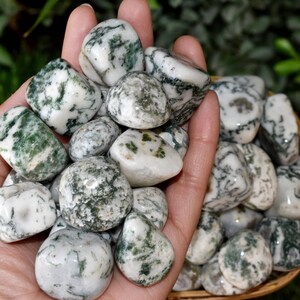 Tree Agate Tumbled Stones A Grade Healing Crystals, Gemstone Natural ...