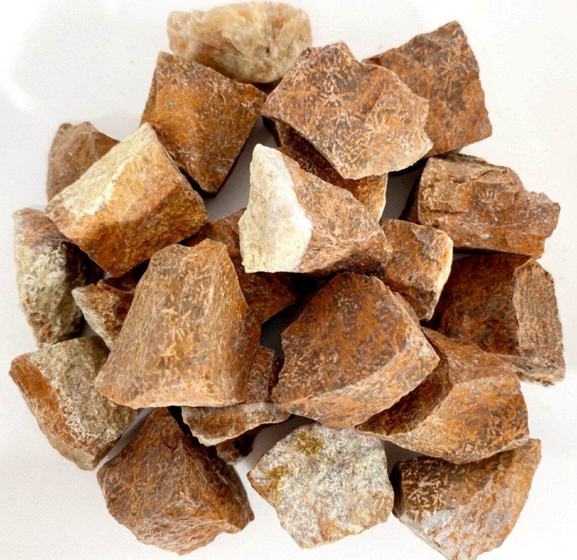 Snakeskin Jasper Rough Stone 1 inch Raw Natural Jasper for | Etsy