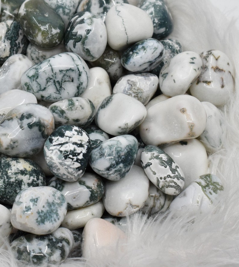 Tree Agate Tumbled Stones A Grade Healing Crystals Gemstone | Etsy