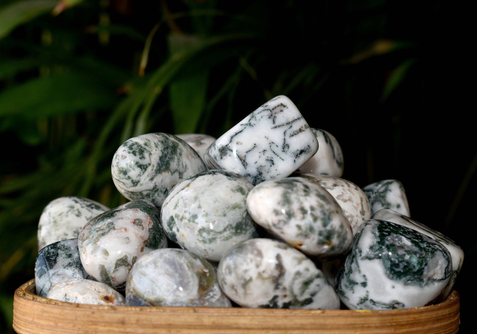 Wholesale Lot 500g Tree Agate Tumbled Stones A Grade Healing Crystals ...