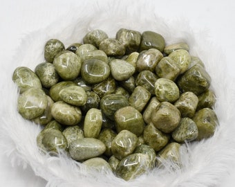 Fossil Coral Tumbled Stones A Grade Healing Crystals Gemstone | Etsy