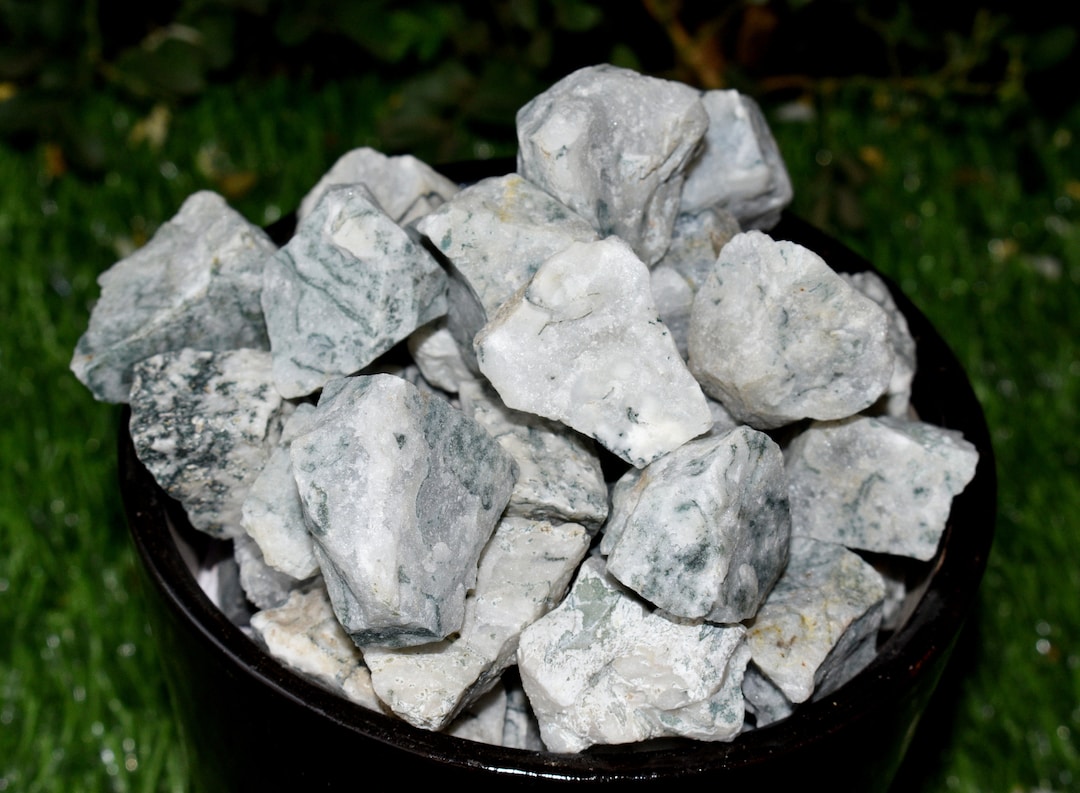 Tree Agate Rough Natural Stones 1 Inch Tree Agate Raw Stones Natural ...