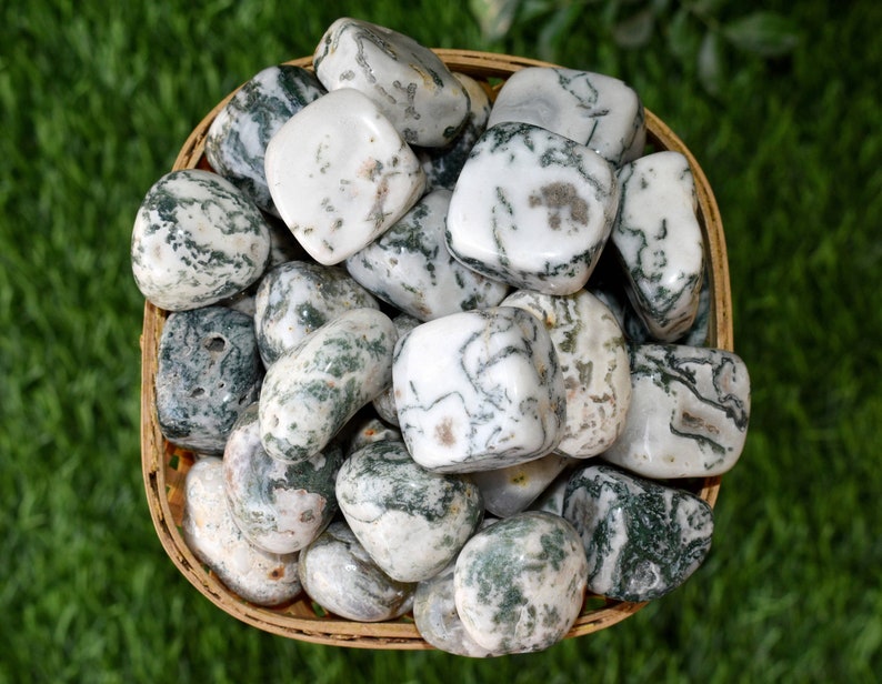 Tree Agate Tumbled Stones A Grade Healing Crystals, Gemstone Natural ...