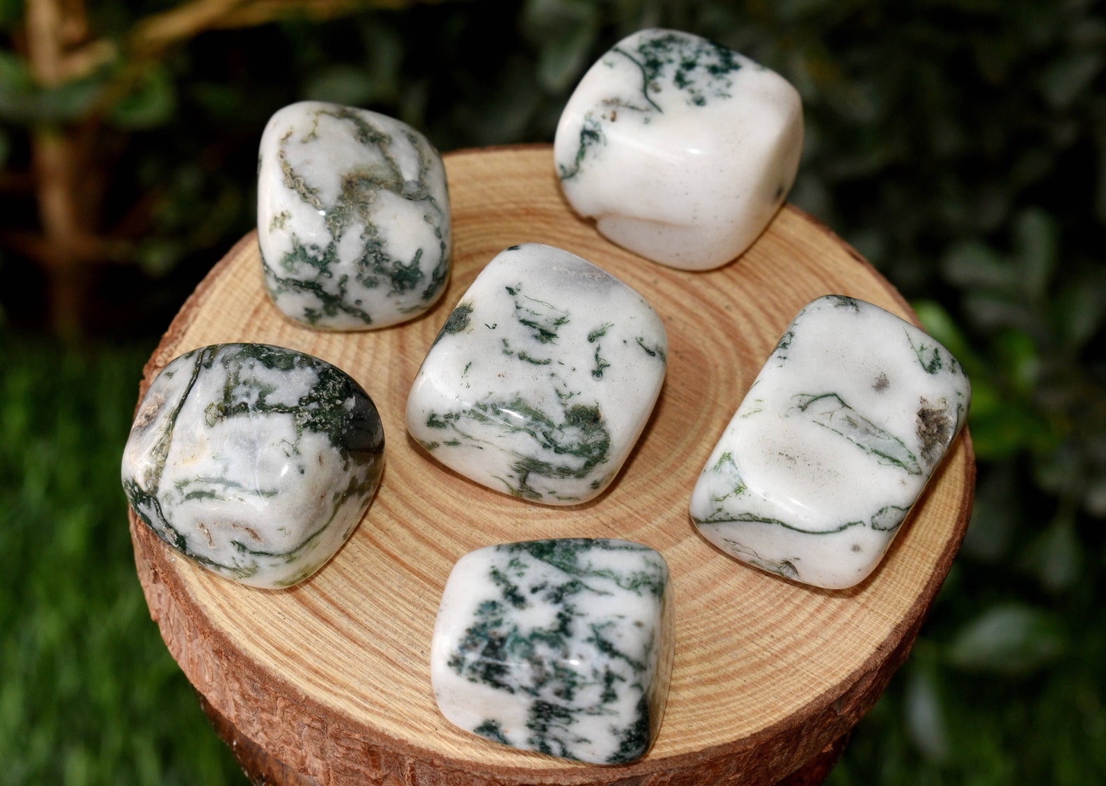 Tree Agate Tumbled Stones A Grade Healing Crystals, Gemstone Natural ...