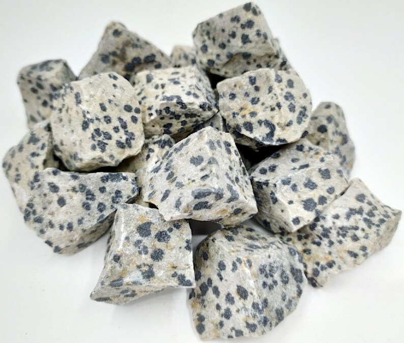 Dalmatian Jasper Rough Natural Stones 1 Inch Dalmatian Jasper | Etsy