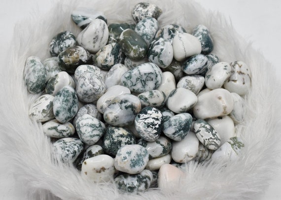 Tree Agate Tumbled Stones A Grade Healing Crystals Gemstone | Etsy