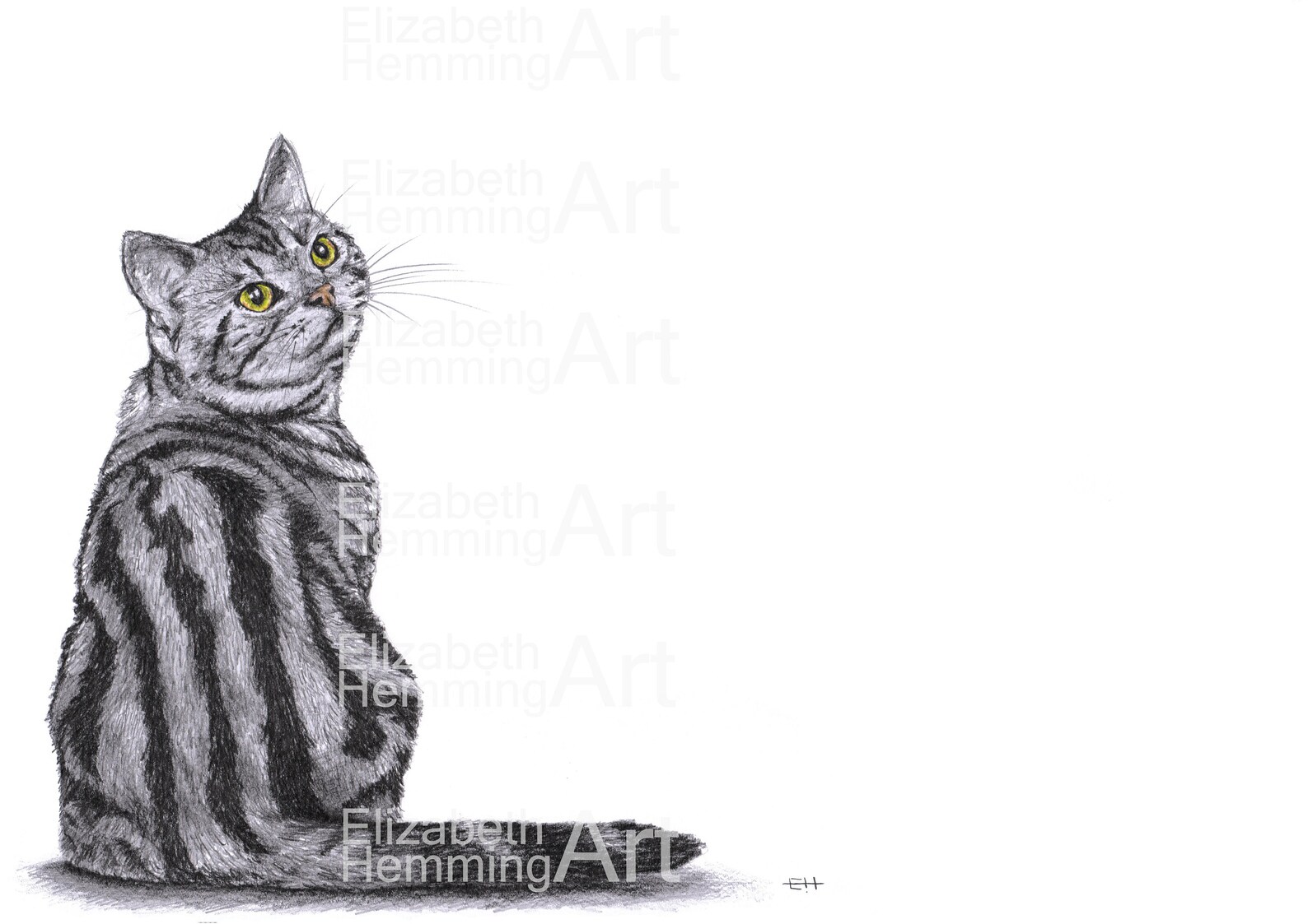 Cat Digital Wall Art, Cat Print, Tabby Cat Art, Digital Print, Print at ...