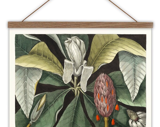 Vintage Botanical Print, Magnolia Wall Art, Large Botanical Poster ...