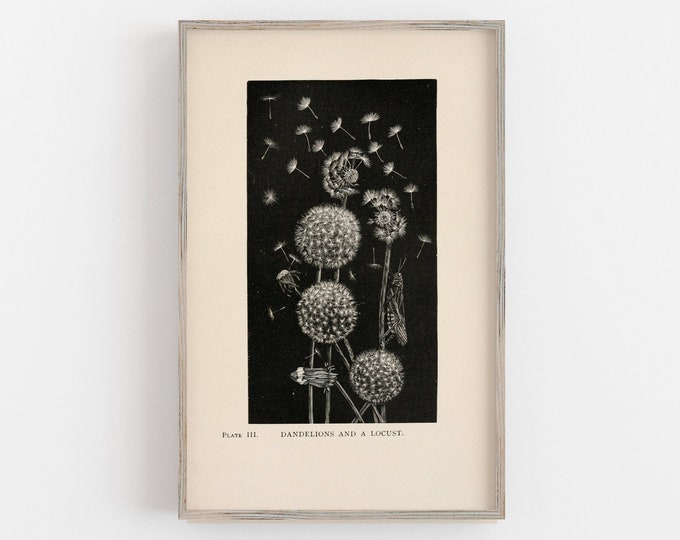 Dandelion Wall Art Dandelion Prints Dandelion Poster - Etsy