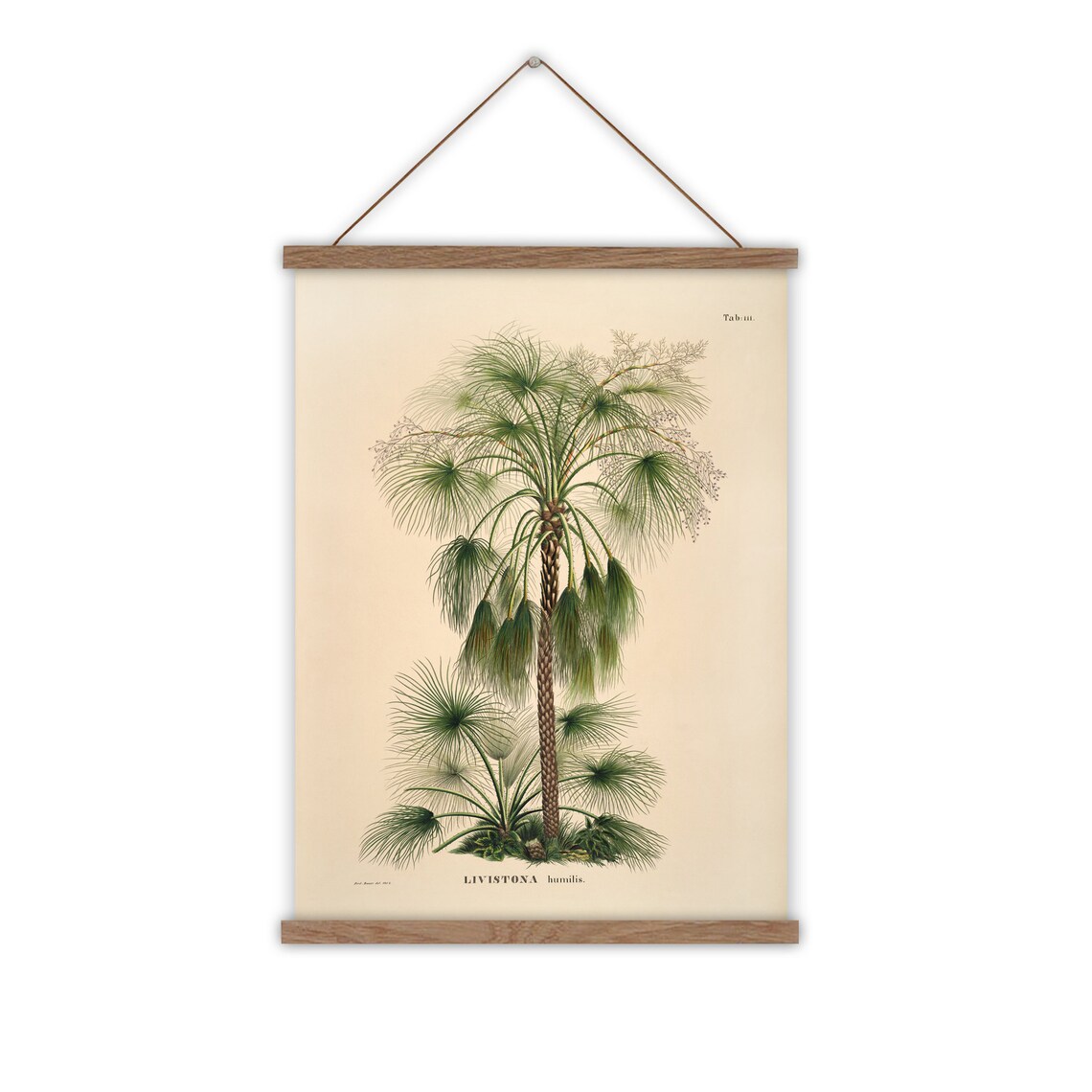 Palm Tree Poster Vintage Palm Tree Wall Art Sand Palm Print | Etsy