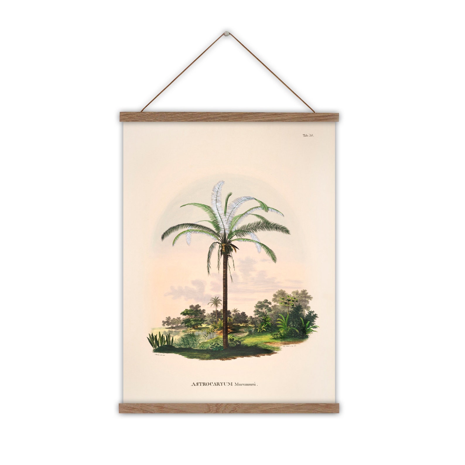 Set of 2 Art Prints Vintage Palm Tree Prints Palm Tree | Etsy