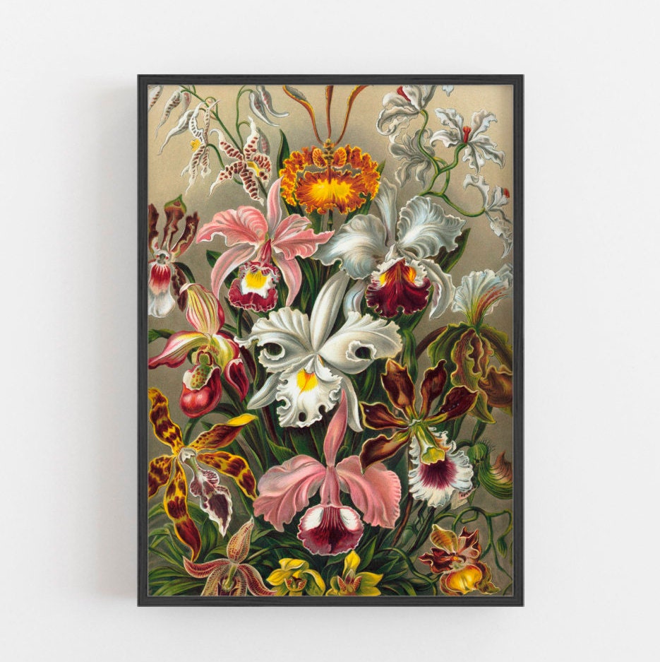 Vintage Orchids Art Print. Orchid Wall Art. Vintage Flower | Etsy