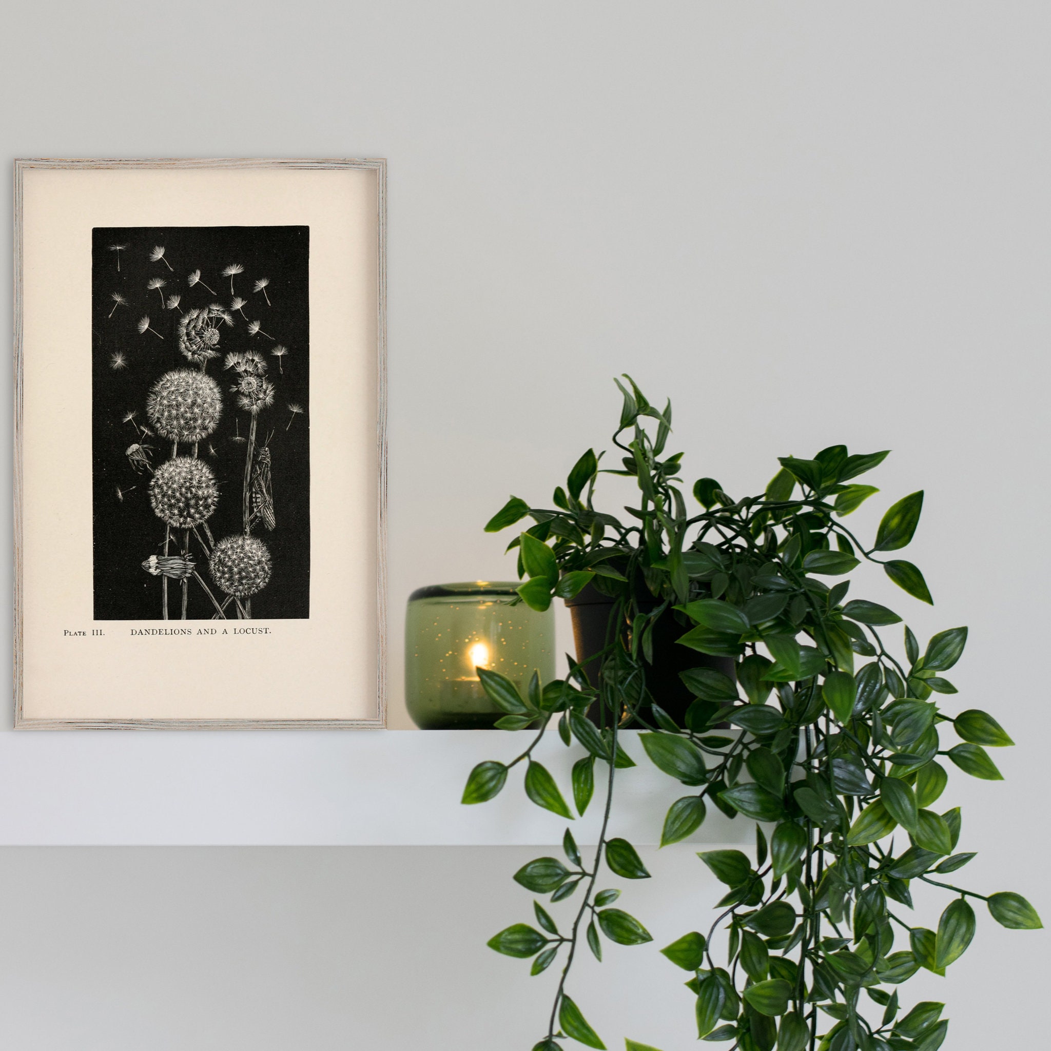 Dandelion wall art dandelion prints dandelion poster | Etsy