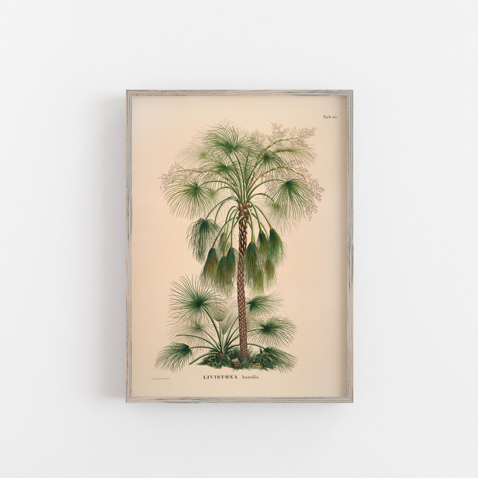 Palm Tree Poster Vintage Palm Tree Wall Art Sand Palm Print | Etsy