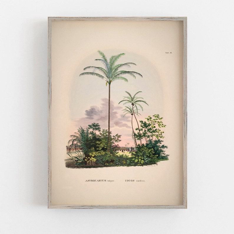 Palm Tree Canvas Print Palm Tree Wall Print Tropical Wall - Etsy
