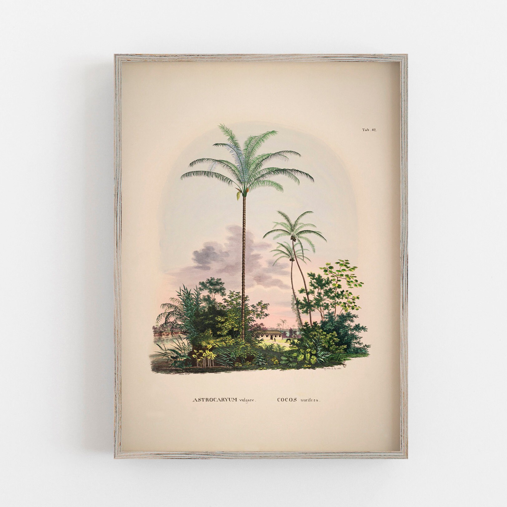 Set of 2 Art Prints Vintage Palm Tree Prints Palm Tree | Etsy Canada