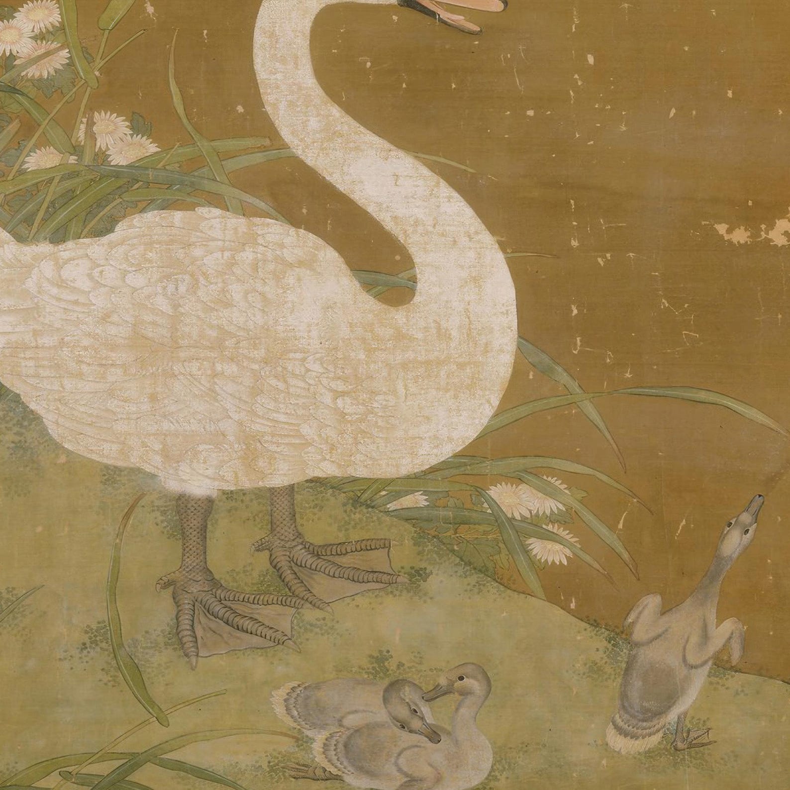 Set of Two Swan Prints, Swan Art, Vintage Chinoiserie Asian Wall Art ...