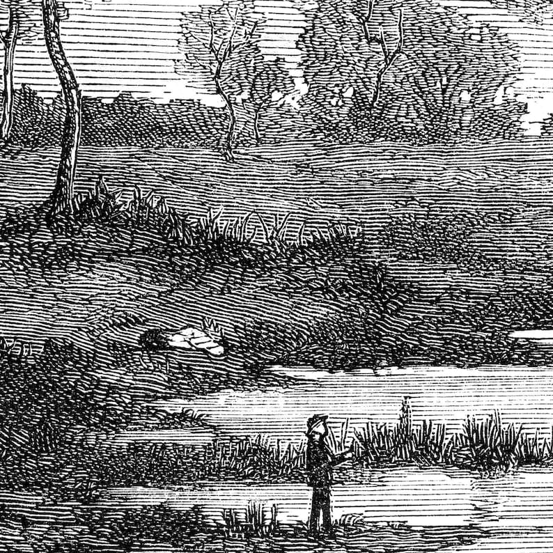 Landscape Etching, Landscape Drawing, Vintage Etching, Farmhouse Print ...