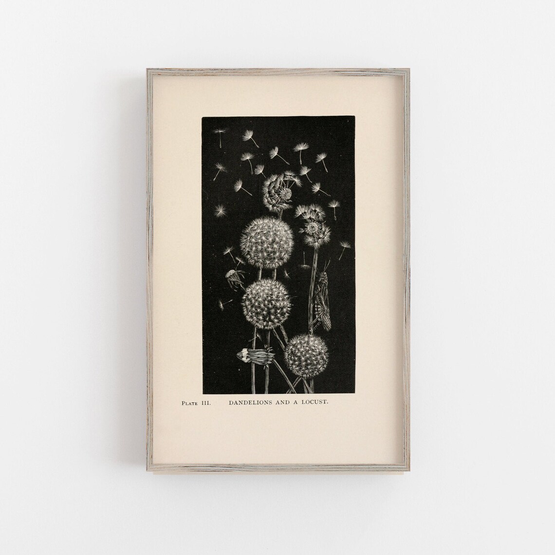 Dandelion Wall Art Dandelion Prints Dandelion Poster | Etsy