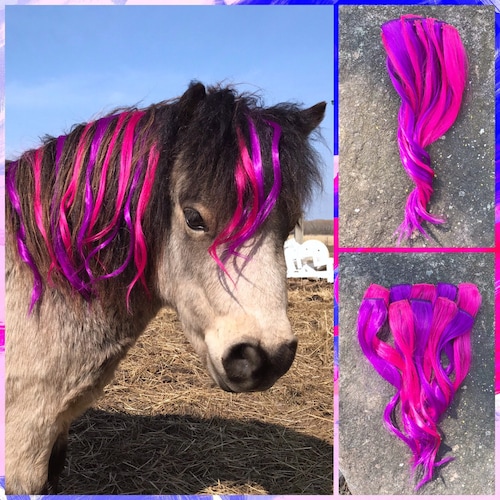 Fire Engine Red Mane Hair Extensions for Horses - Etsy