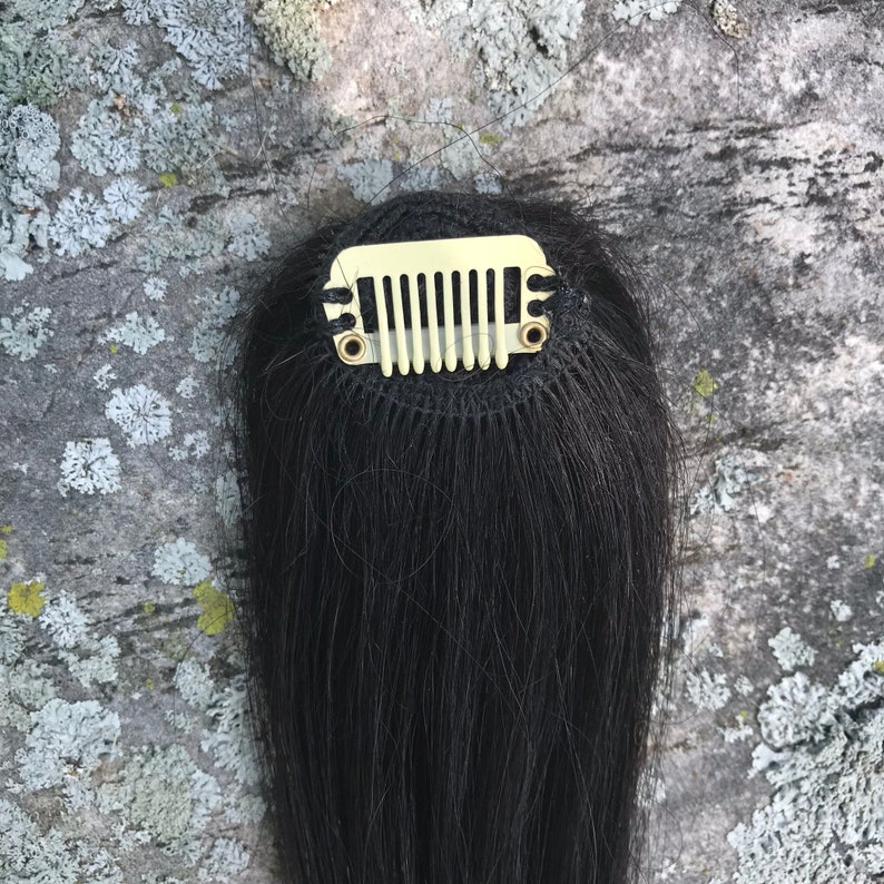 Fauxlock Forelock Extensions for Horses (perfect for Parties, Parades ...