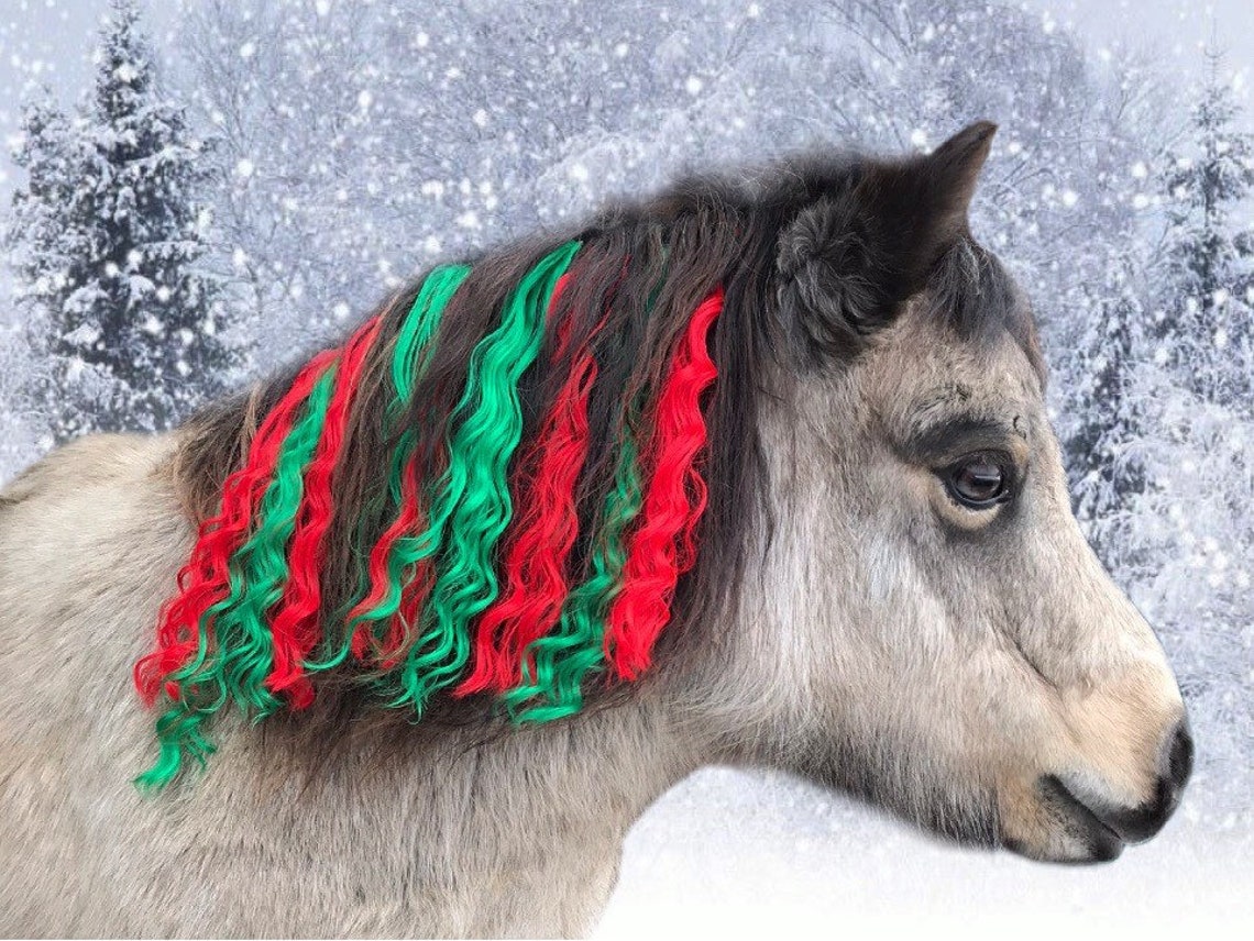 Christmas Red and Green Mane Hair Extensions for Horses (perfect for ...