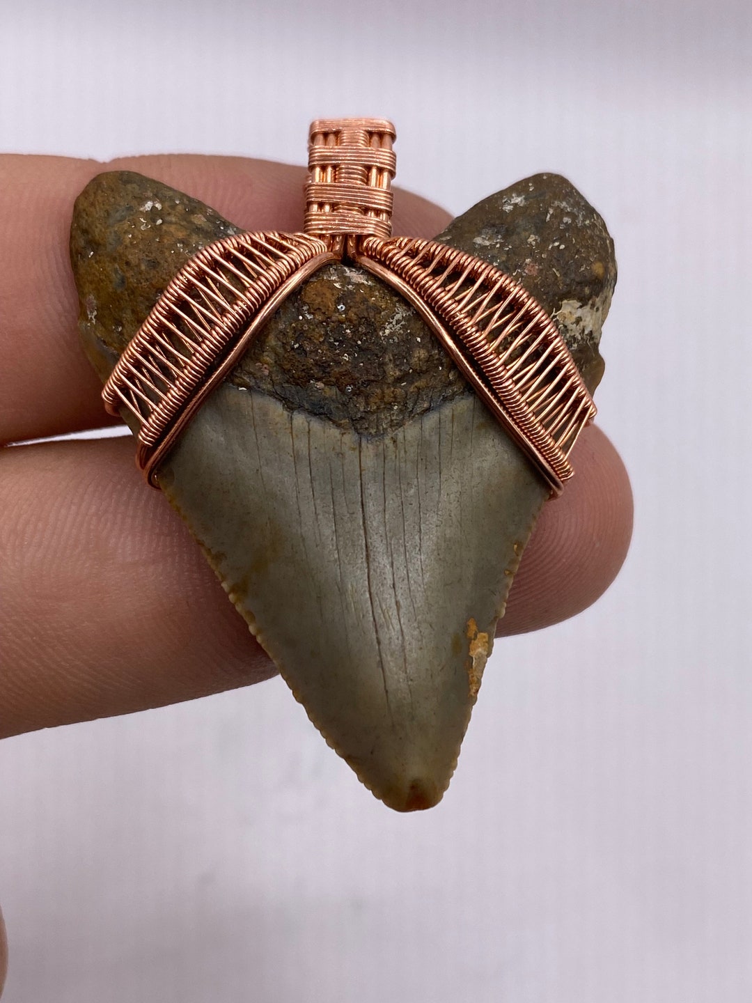 Megalodon Shark Tooth Necklace Wire Wrapped in Copper Wire 2 - Etsy