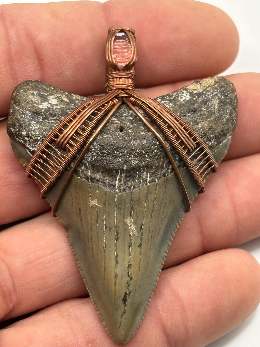 Megalodon Shark Tooth With Amethyst Gemstone Necklace Wire Wrapped in ...
