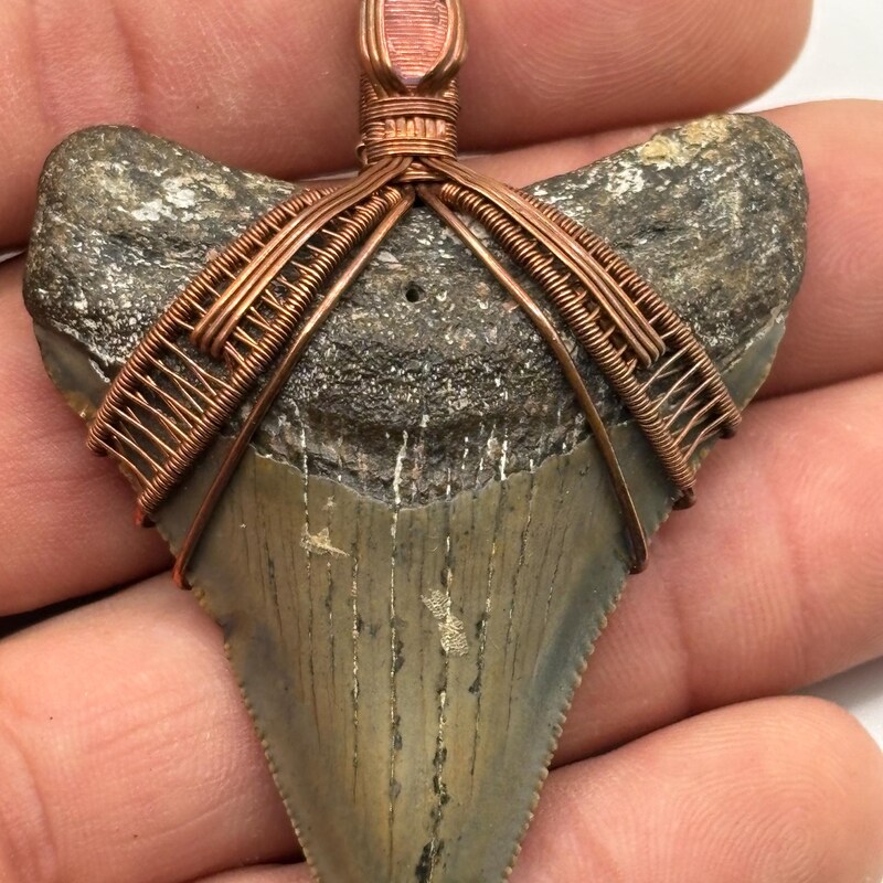 Megalodon Shark Tooth Necklaces - Etsy