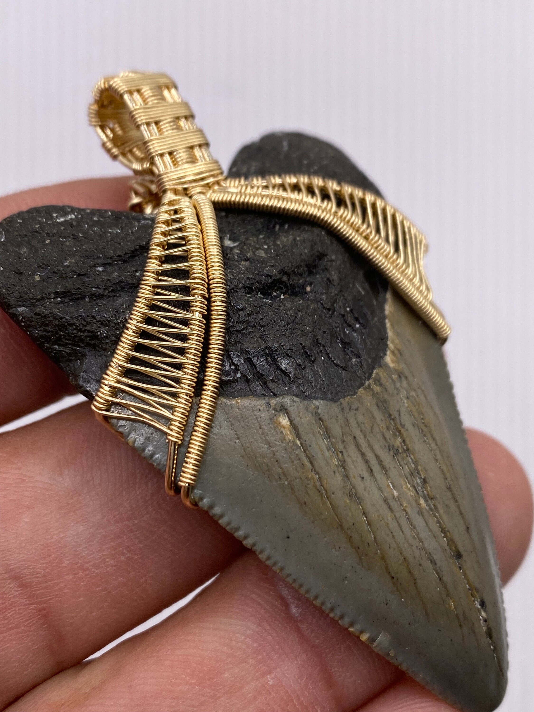 Megalodon Shark Tooth Necklace Wire Wrapped in 14k Gold Filled Wire 2. ...