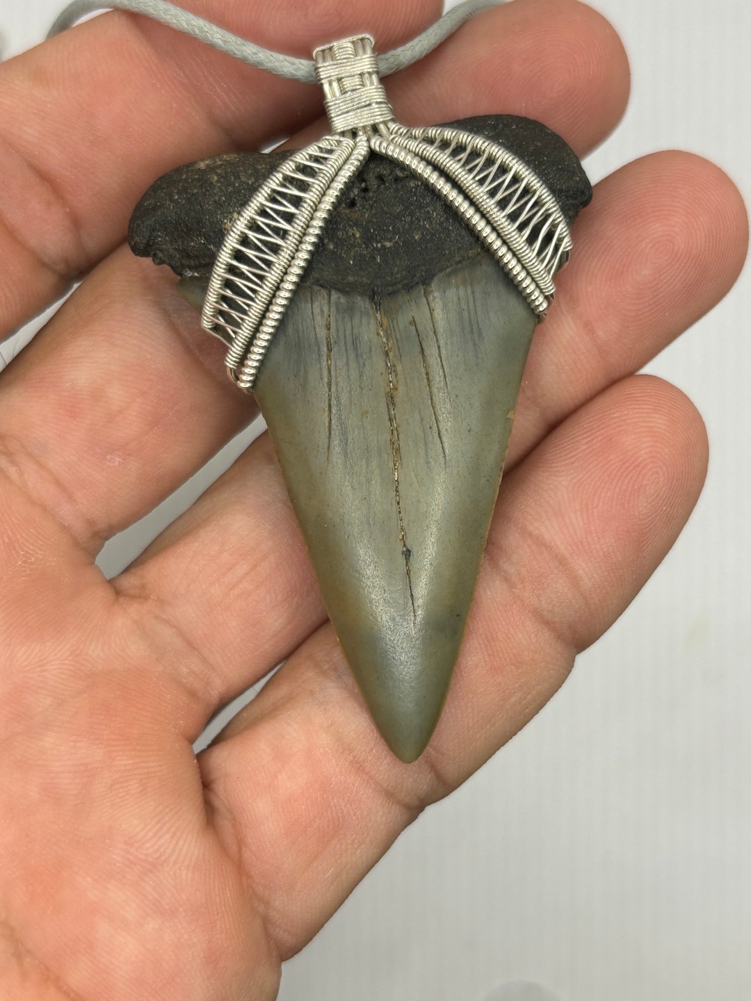 Big Shark Tooth Necklace Fossil Wire Wrapped in Sterling Silver 2.47 ...