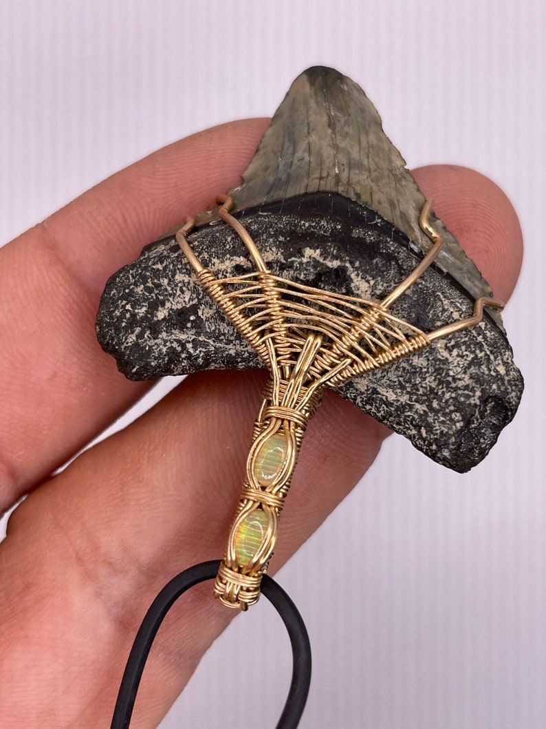 Megalodon Shark Tooth Fossil Necklace Pendant With Opals Wire Wrapped ...