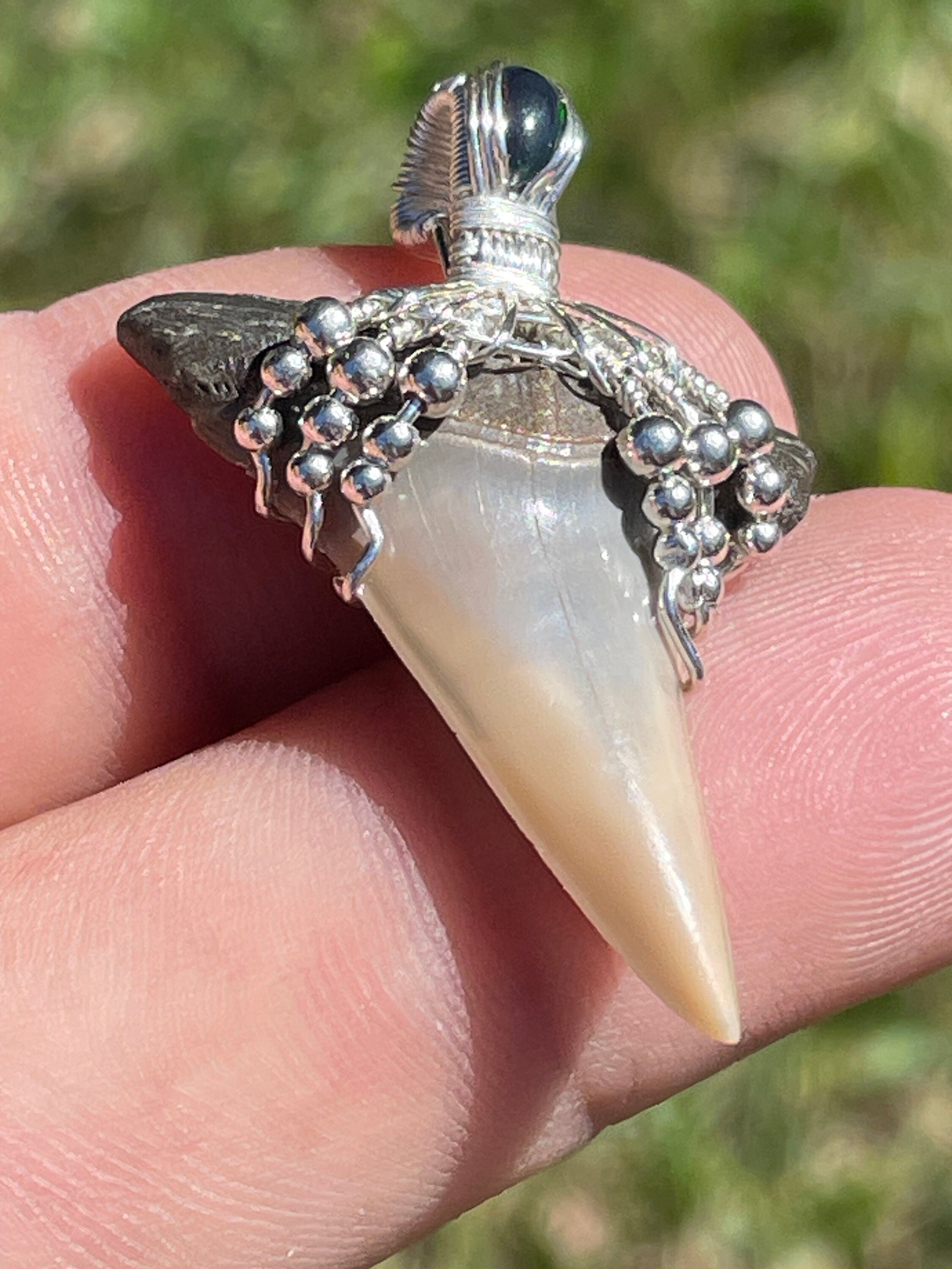 Shark Tooth Necklace Fossil Wire Wrapped in Sterling Silver With ...